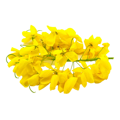 Indian Grocery Store Online | Asian Supermarket | Lakshmi Stores UK